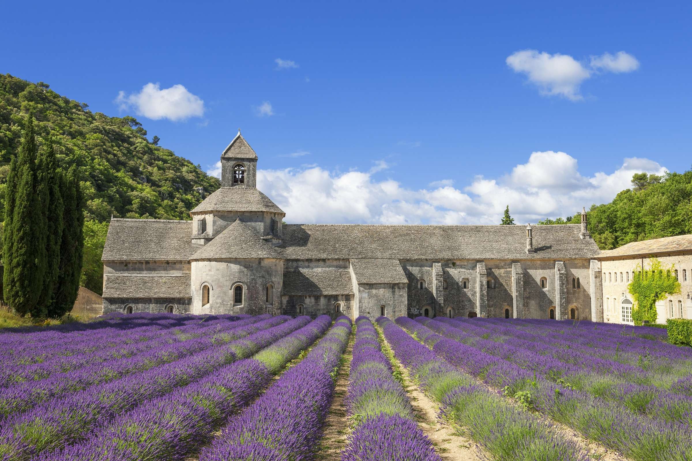 Provence: In Context | City Guide